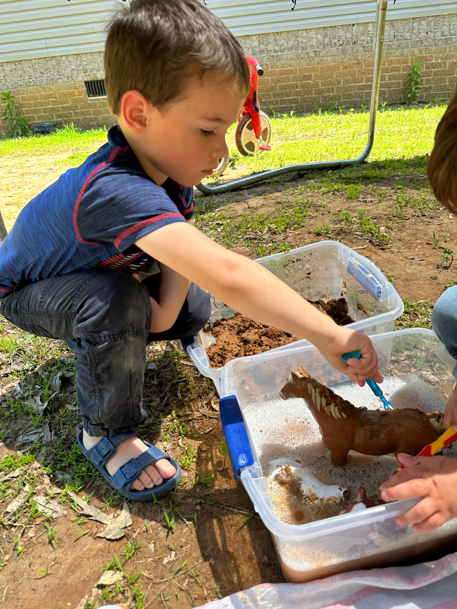 Engaging Muddy Animal Wash Sensory Activity for Spring